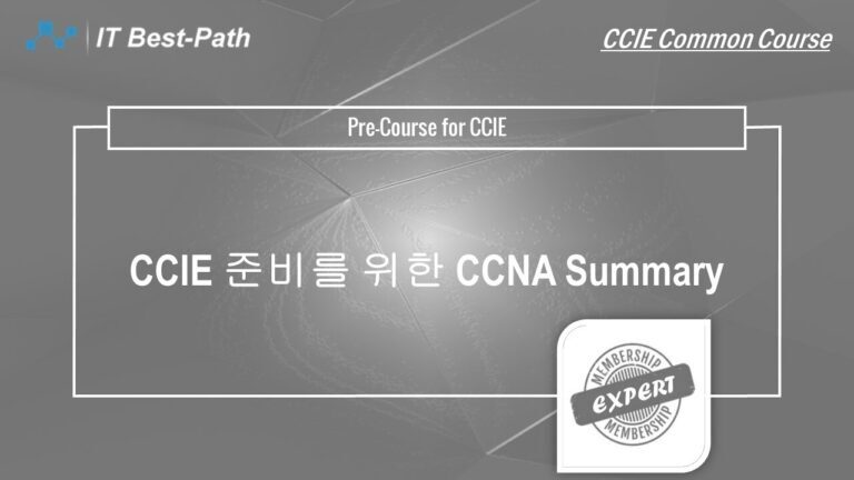 CCNA Basic for CCIE – IT BEST-PATH